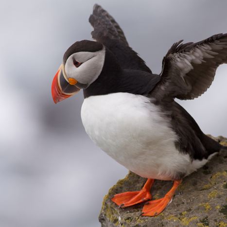 Homepage - Outdoor Guernsey