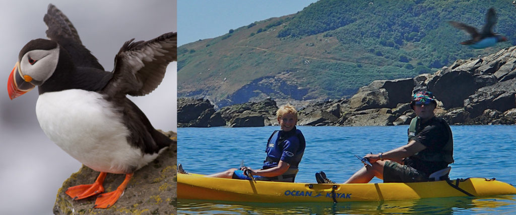 Puffin Patrol and Herm Circumnavigation - Outdoor Guernsey